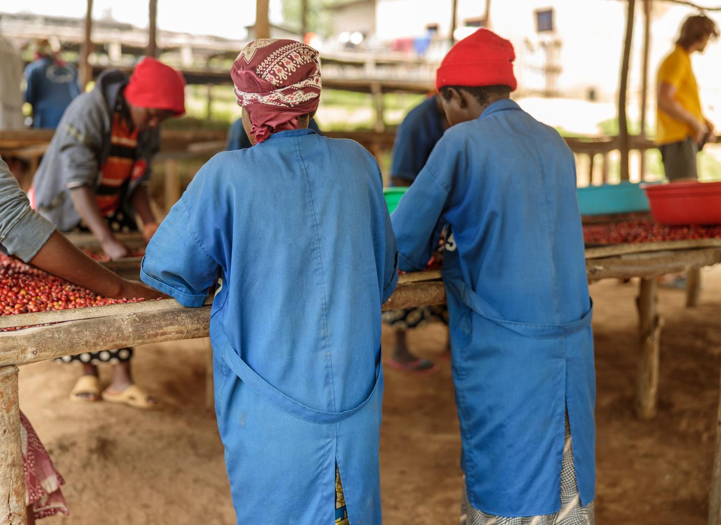 Securing Every Bite: EU Project P108 Strengthens Food Chain Resilience ...